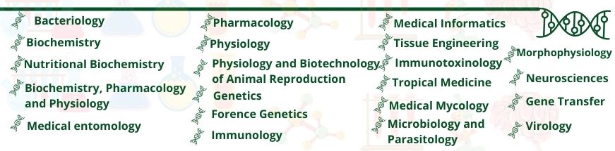 Master in Basic Biomedical Sciences